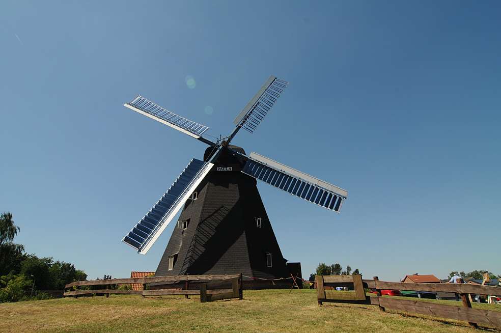 Windmühle Paula am 5.Mai – Windmühle Paula am Steinhuder Meer